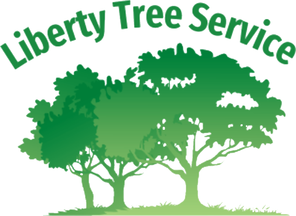 How Does Oak Tree Trimming Enhance the Health of the Tree? | Liberty ...